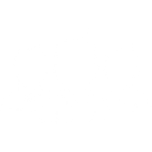 Nos programmes | EFE Maroc